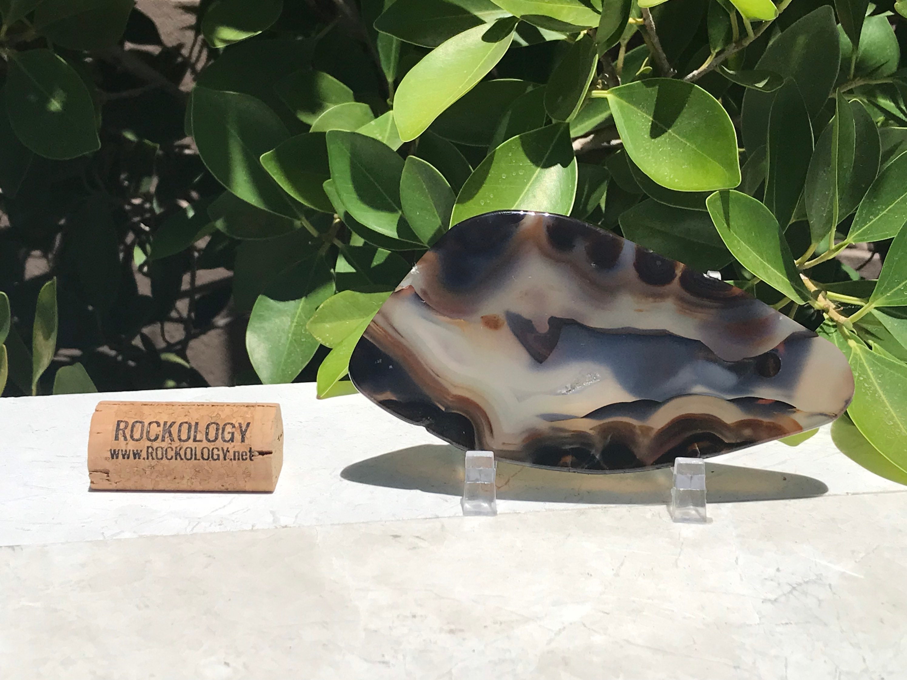 Translucent Agate Slice From Brazil - Etsy