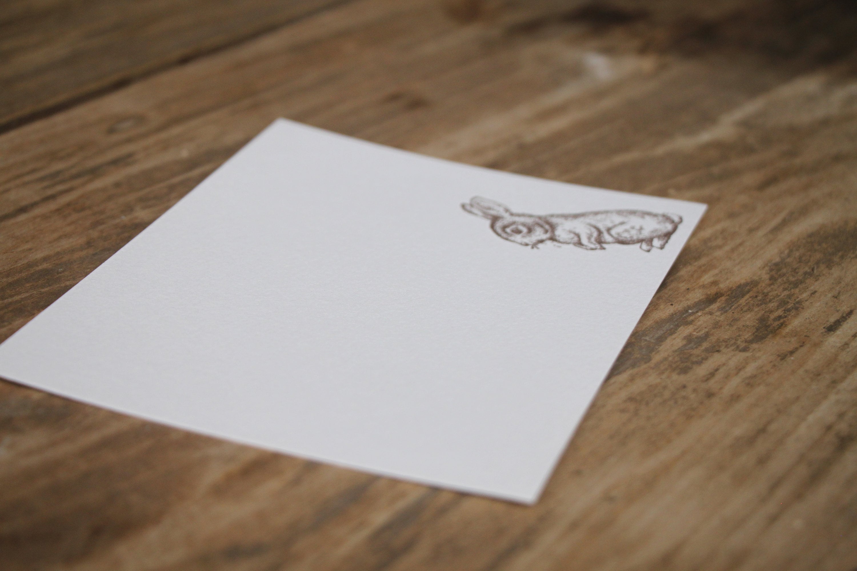 Bunny Note Cards Bunny Stationery Rabbit Note Cards Rabbit - Etsy