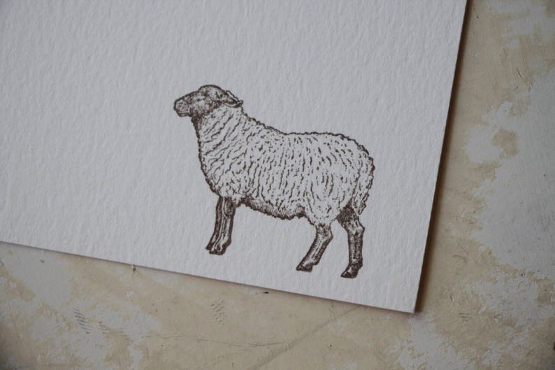 Lamb Note Card, Sheep Stationery, Letter Writing Set, Stamped ...