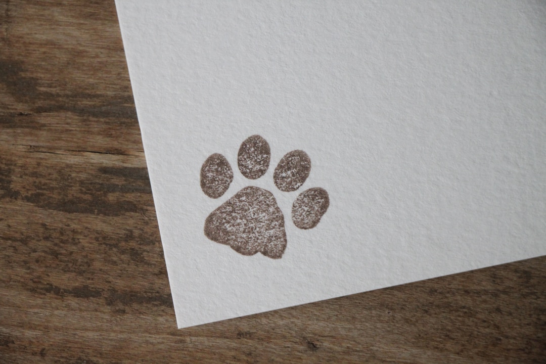 Paw Print Note Cards Paw Print Stationery Note Card Set - Etsy