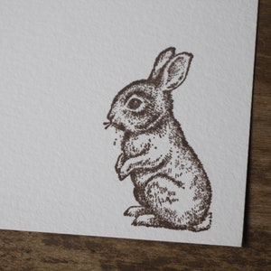 Bunny Note Cards, Bunny Stationery, Rabbit Note Cards, Rabbit ...