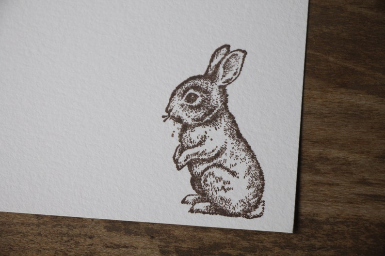 Bunny Note Cards Bunny Stationery Rabbit Note Cards Rabbit - Etsy