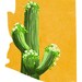 Arizona State Flower Saguaro Cactus Digital Download Art, Usa Geography ...