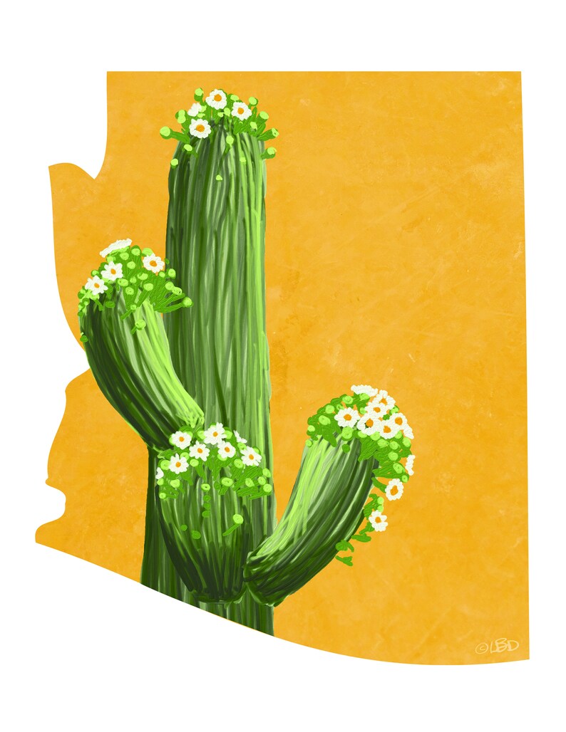 Arizona State Flower Saguaro Cactus Digital Download Art, Usa Geography ...