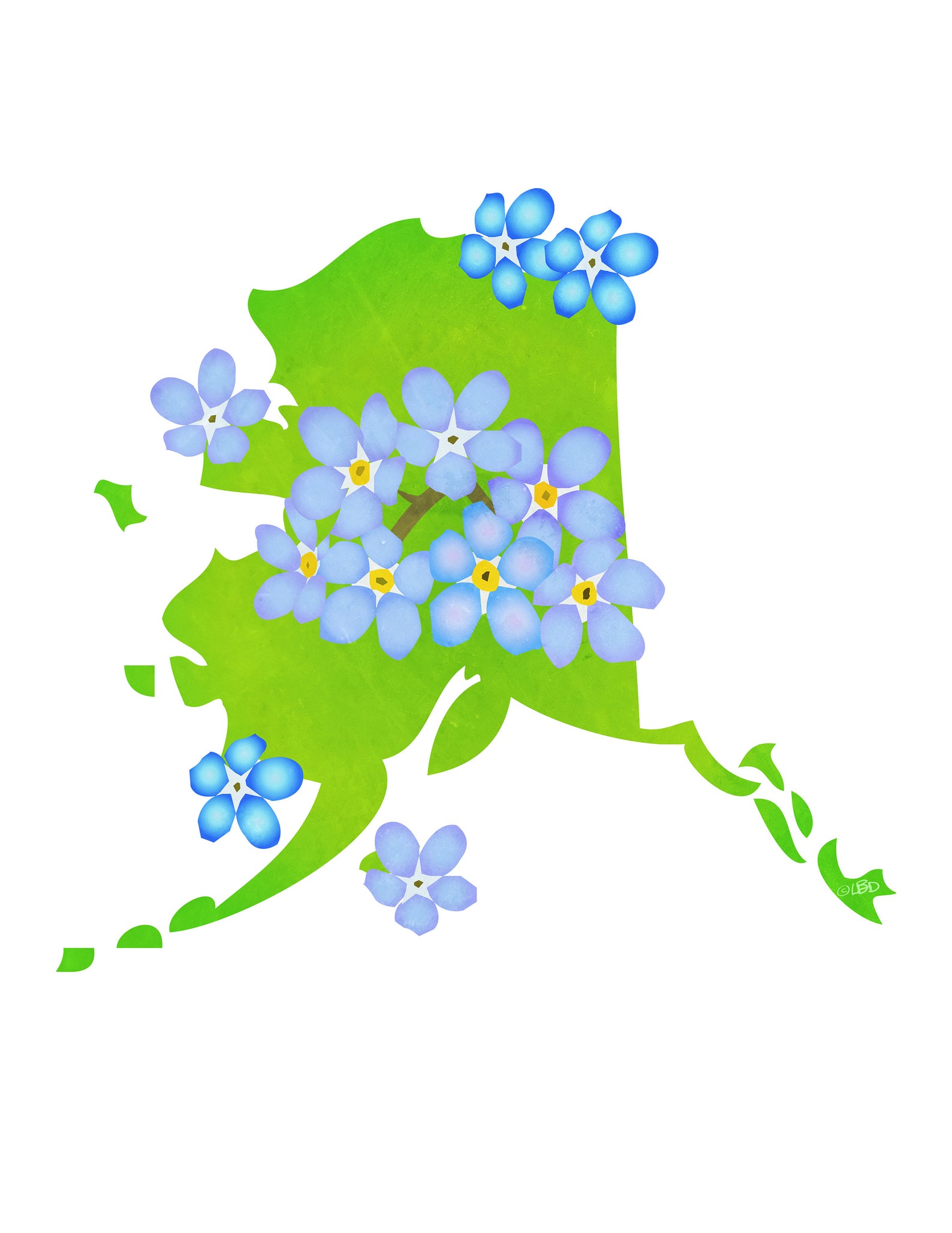 Alaska State Flower Forget Me Not, Digital Download, USA Geography and ...
