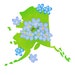 Alaska State Flower Forget Me Not, Digital Download, USA Geography and ...