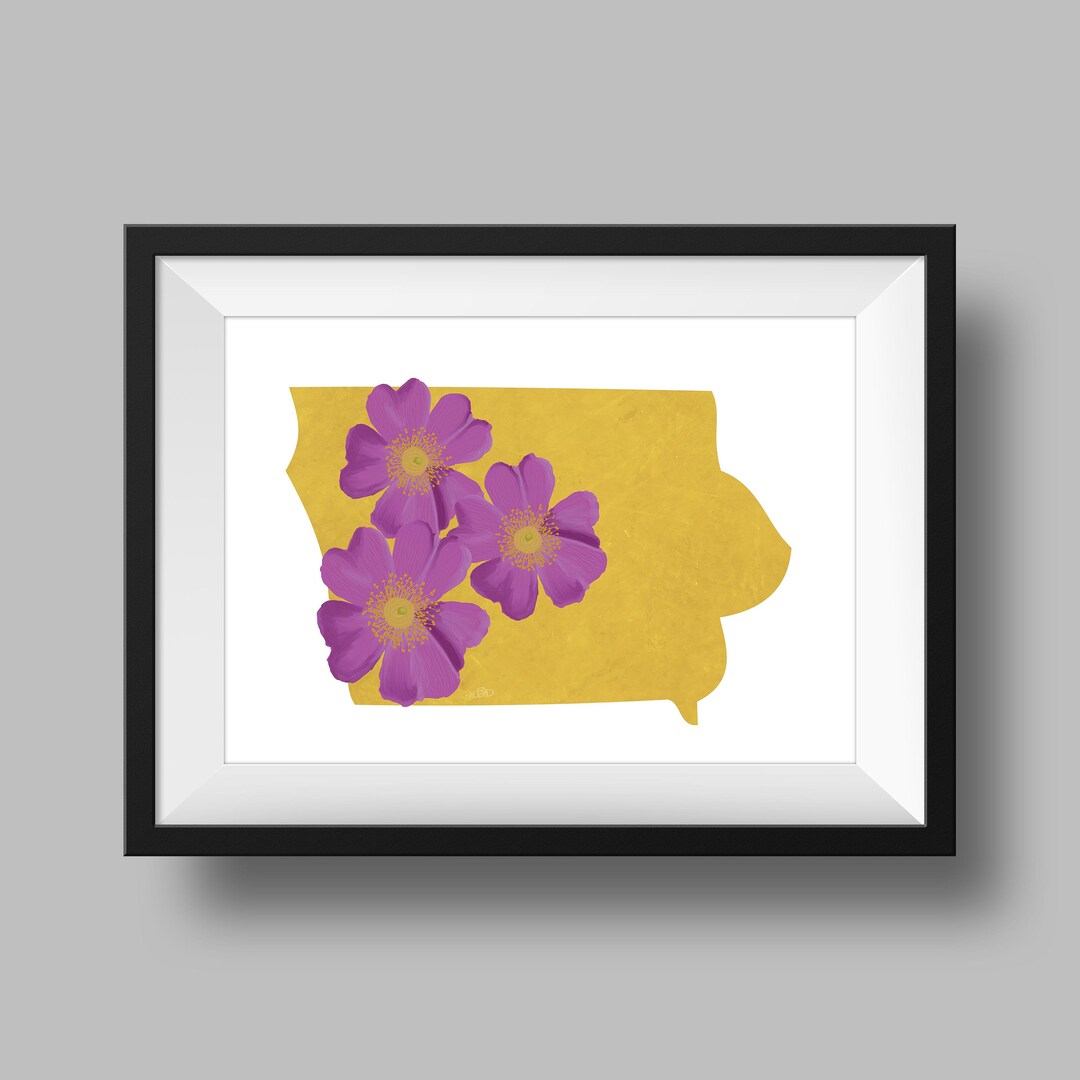 Iowa State Flower Wild Prairie Rose Art Digital Download USA Geography ...