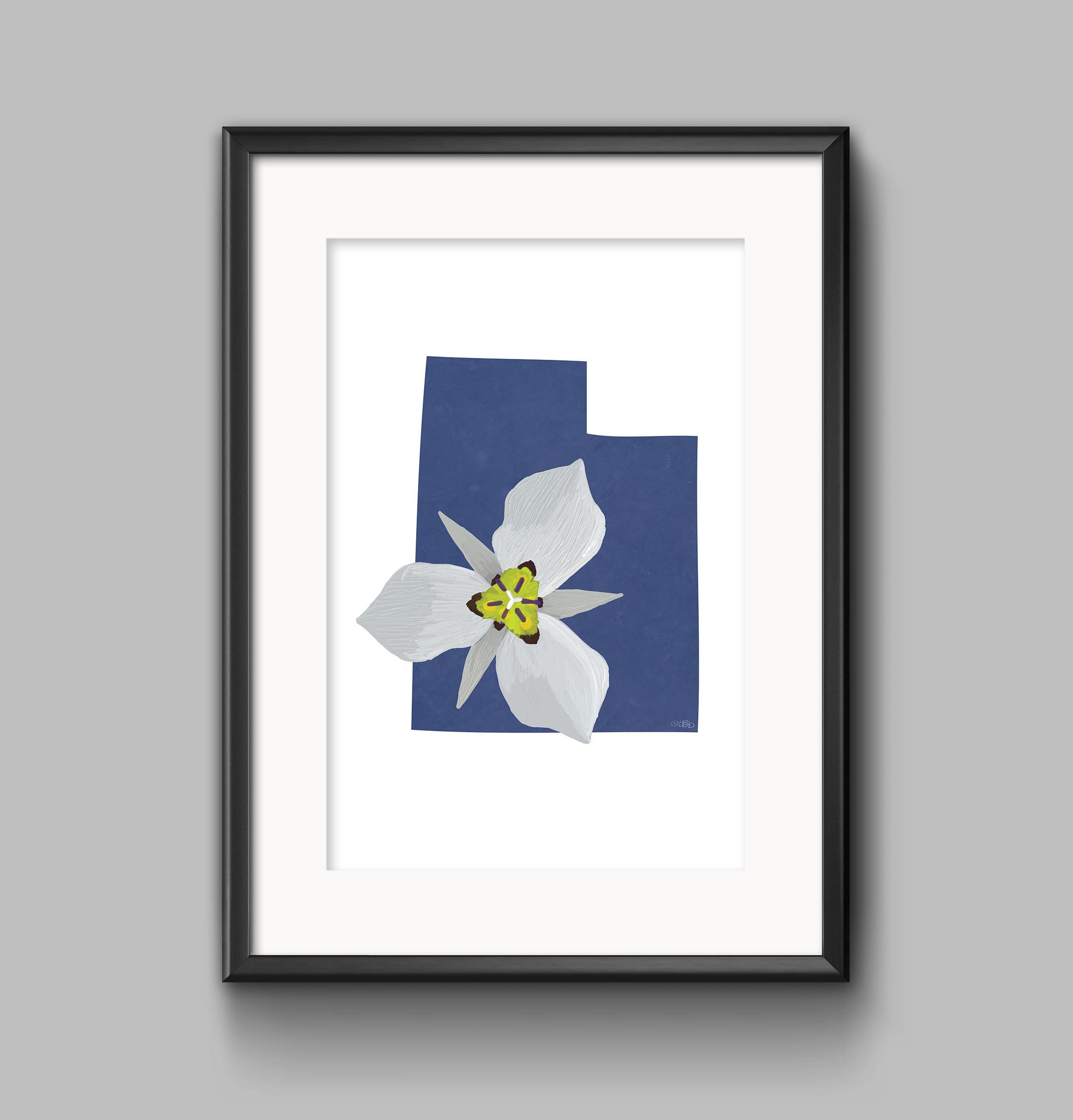 Utah State Flower Sego Lily Art Digital Descargar EE.UU. Geografía y ...