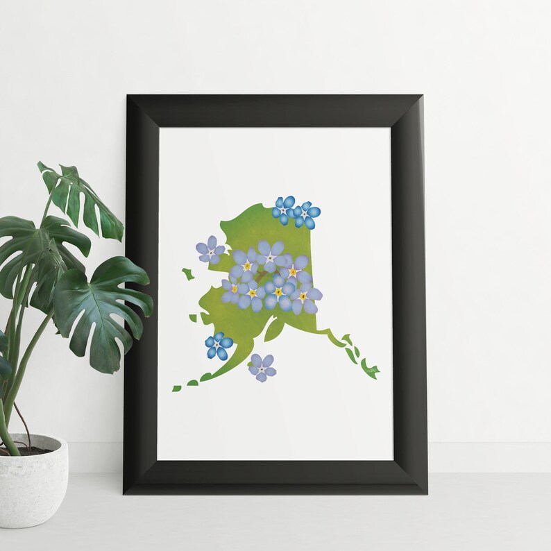 Alaska State Flower Forget Me Not, Digital Download, USA Geography and ...