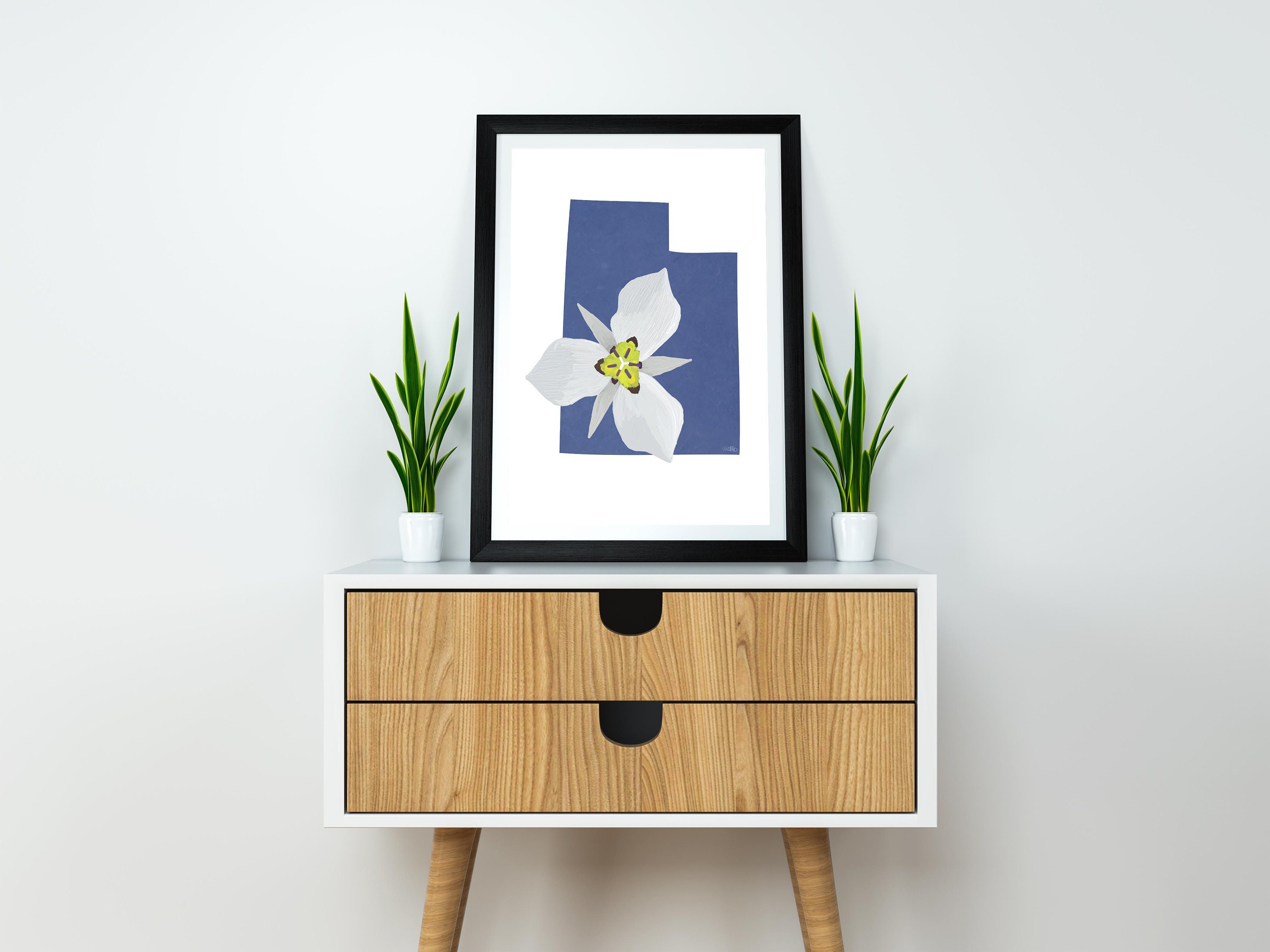 Utah State Flower Sego Lily Art Digital Descargar EE.UU. Geografía y ...