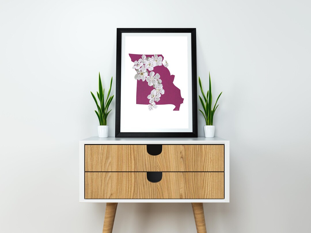 Missouri State Flower White Hawthorn Blossom Art Digital Download USA ...