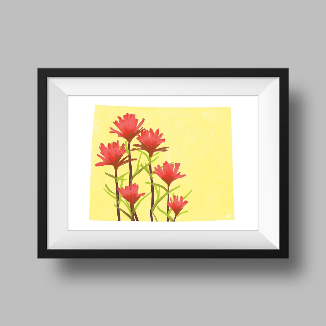 Wyoming State Flower Indiana Paintbrush Art Digital Download USA ...