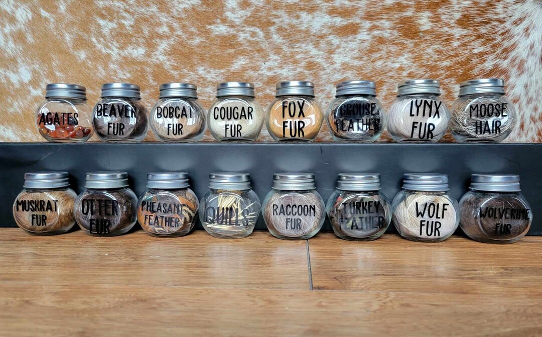 Oddities Jars - Etsy