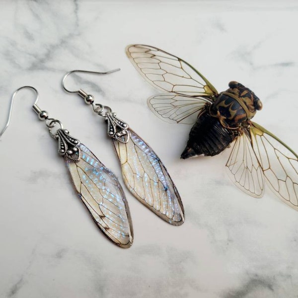 Insect Bug Wing - Etsy
