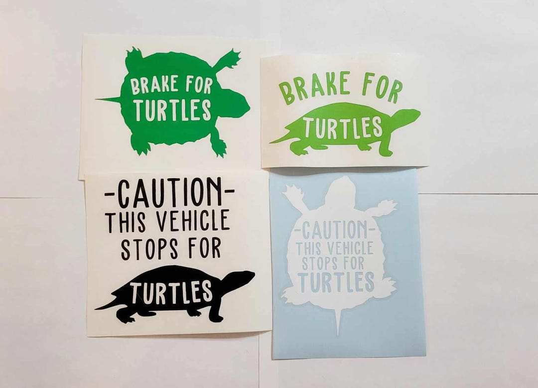 Turtle Crossing Decal - Etsy