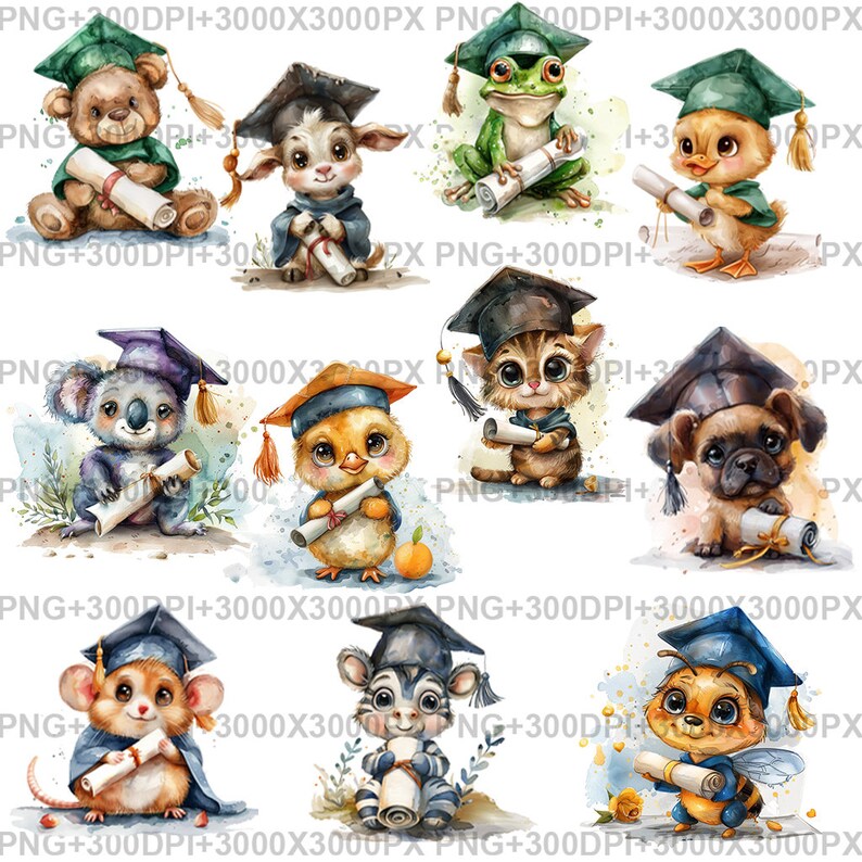 Graduation Animals Clipart Bundle, 20 PNG Watercolor Cute Baby Animal ...