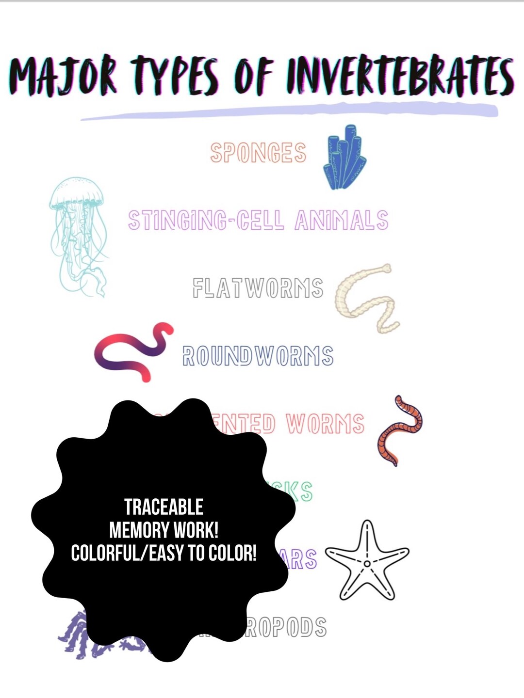 Classical Conversations Cycle 1 Week 5 Science Memory Work - Etsy