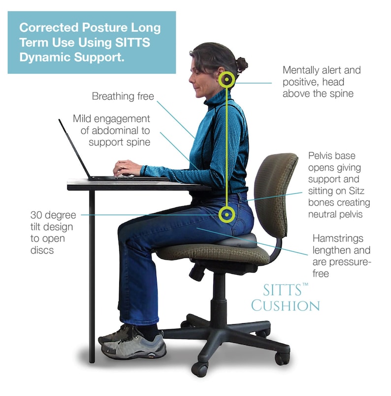 SITTS Posture Cushion Medium Firm Support Memory-like 2.5" Sitting ...