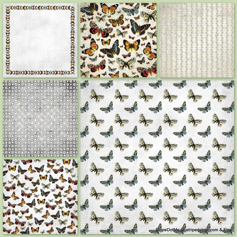 Butterflies Digital Paper Pack Floral Spring Summer Polka Dots Stripes ...