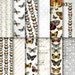 8.5x11 Butterflies Digital Paper Pack Floral Spring Summer Polka Dots ...