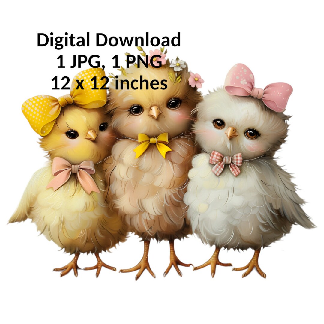Funny Chicken Clipart, Baby Chicks, Cute Chicken PNG, Sweet Chicks PNG ...
