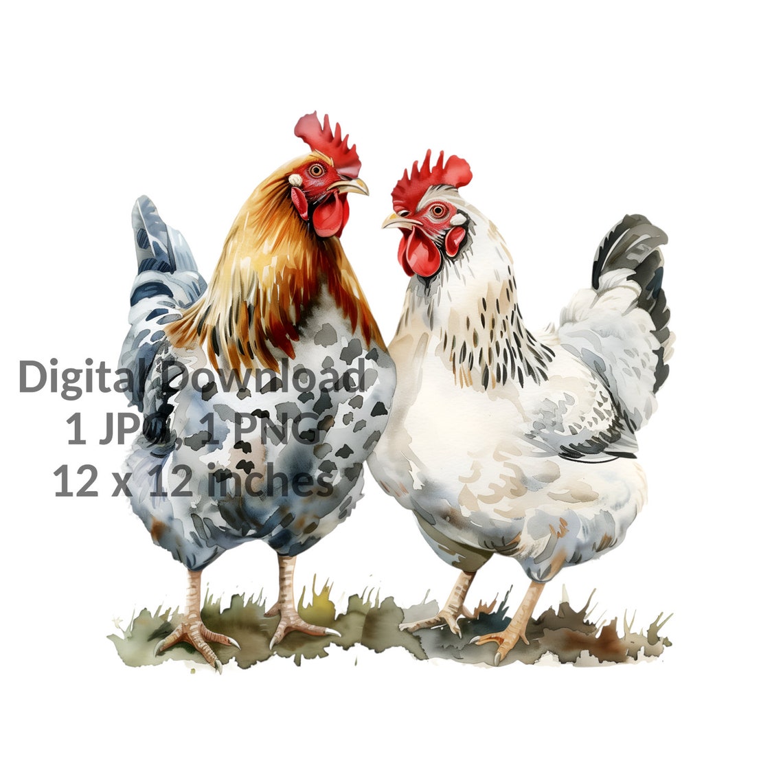 Farm Chicken PNG, Hens PNG, Transparent PNG Design, Hen Illustration ...