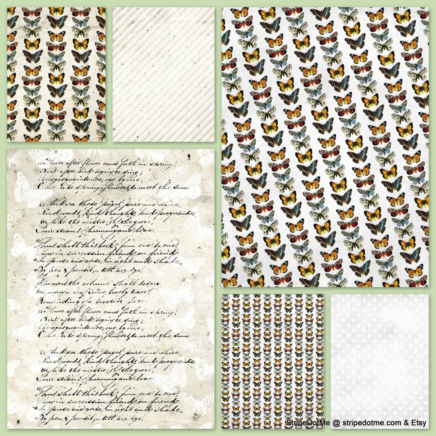 8.5x11 Butterflies Digital Paper Pack Floral Spring Summer Polka Dots ...