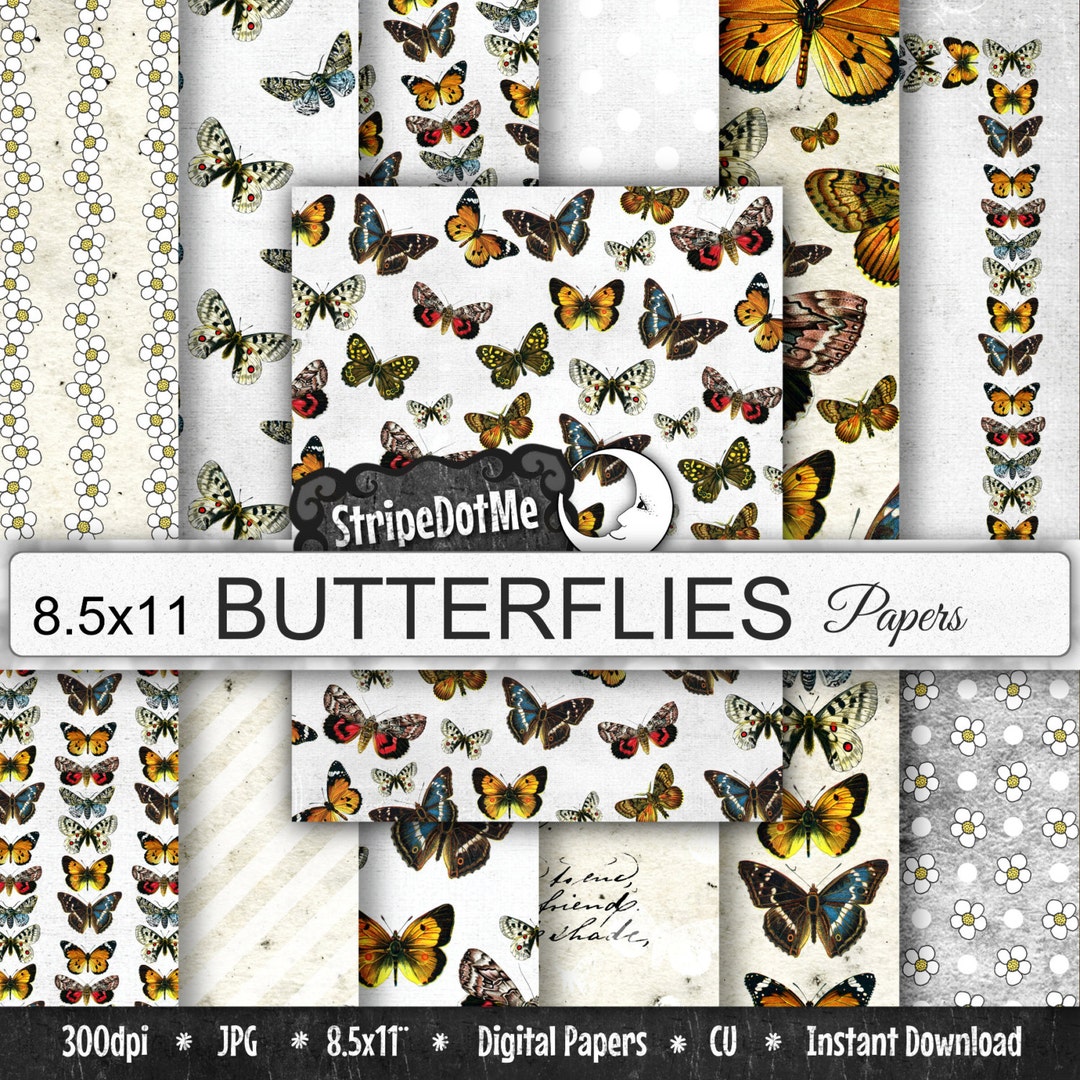 8.5x11 Butterflies Digital Paper Pack Floral Spring Summer Polka Dots ...