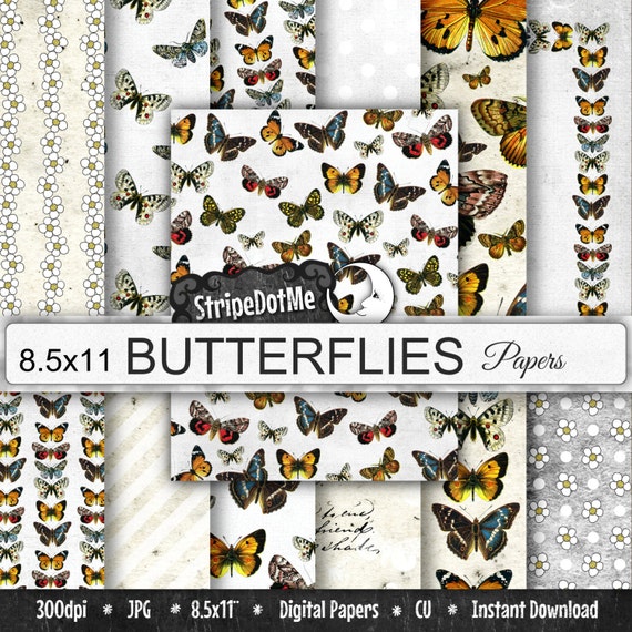 8.5x11 Butterflies Digital Paper Pack Floral Spring Summer | Etsy