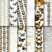 Butterflies Digital Paper Pack Floral Spring Summer Polka Dots Stripes ...