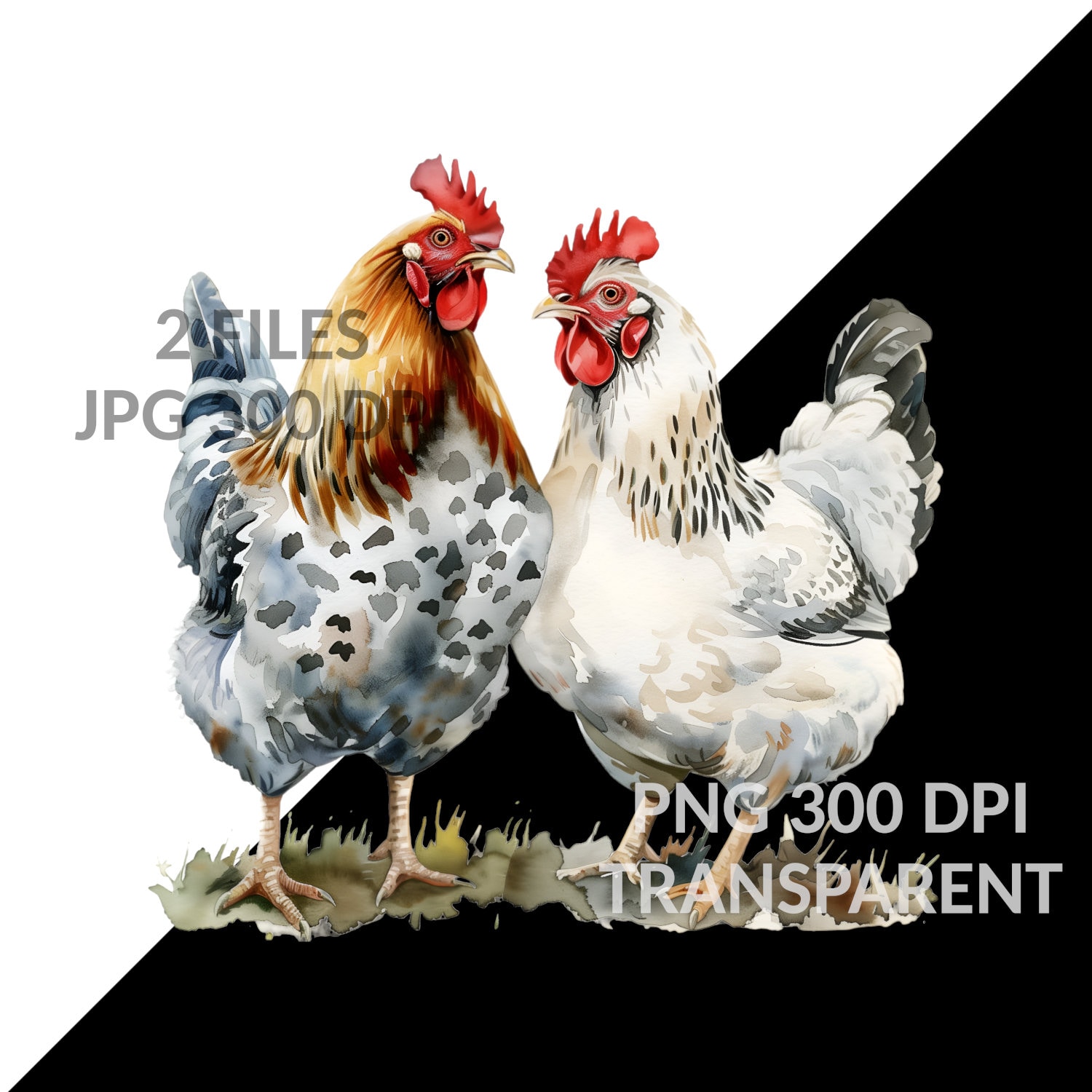 Farm Chicken PNG, Hens PNG, Transparent PNG Design, Hen Illustration ...