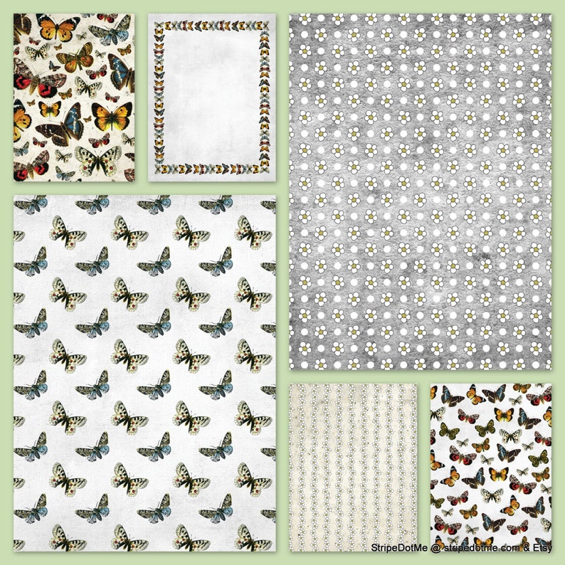 8.5x11 Butterflies Digital Paper Pack Floral Spring Summer Polka Dots ...