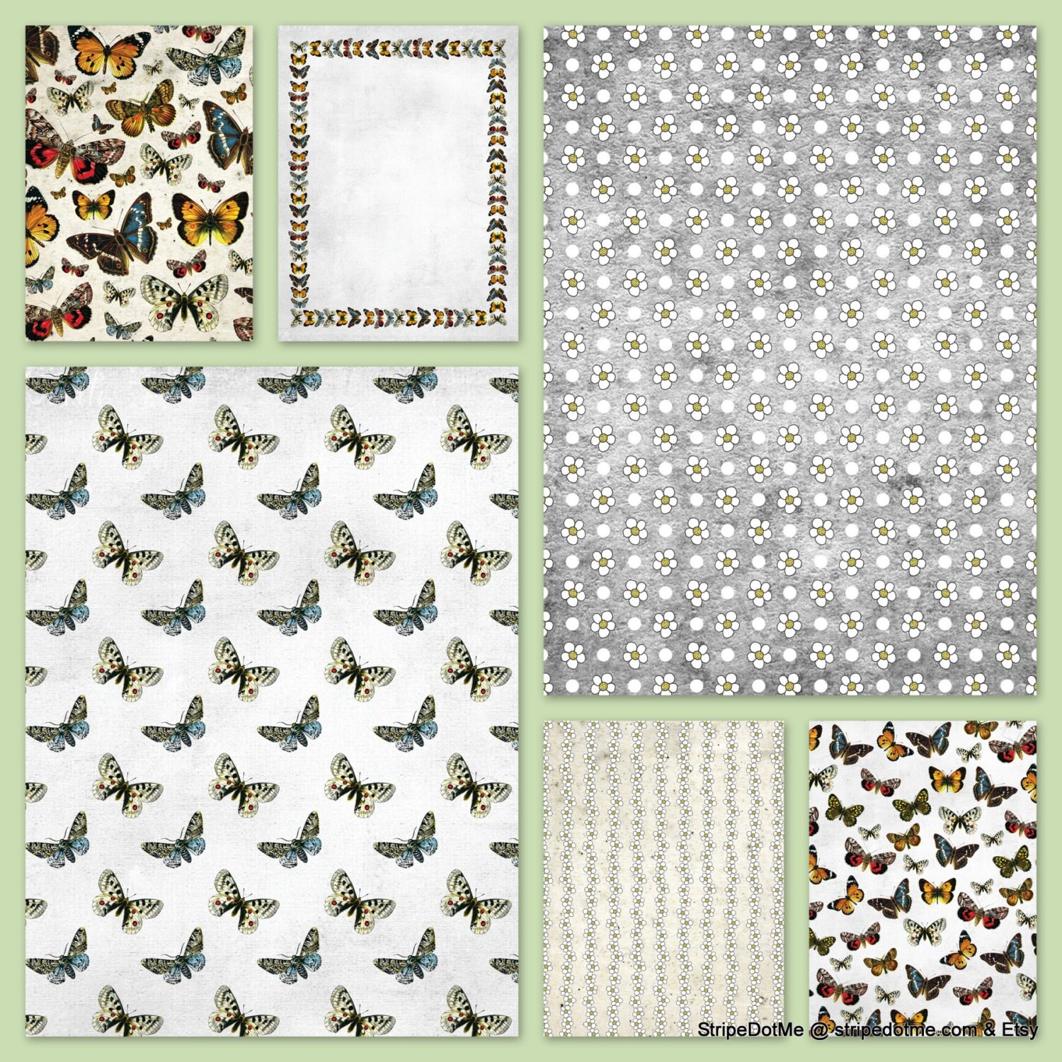 8.5x11 Butterflies Digital Paper Pack Floral Spring Summer Polka Dots ...