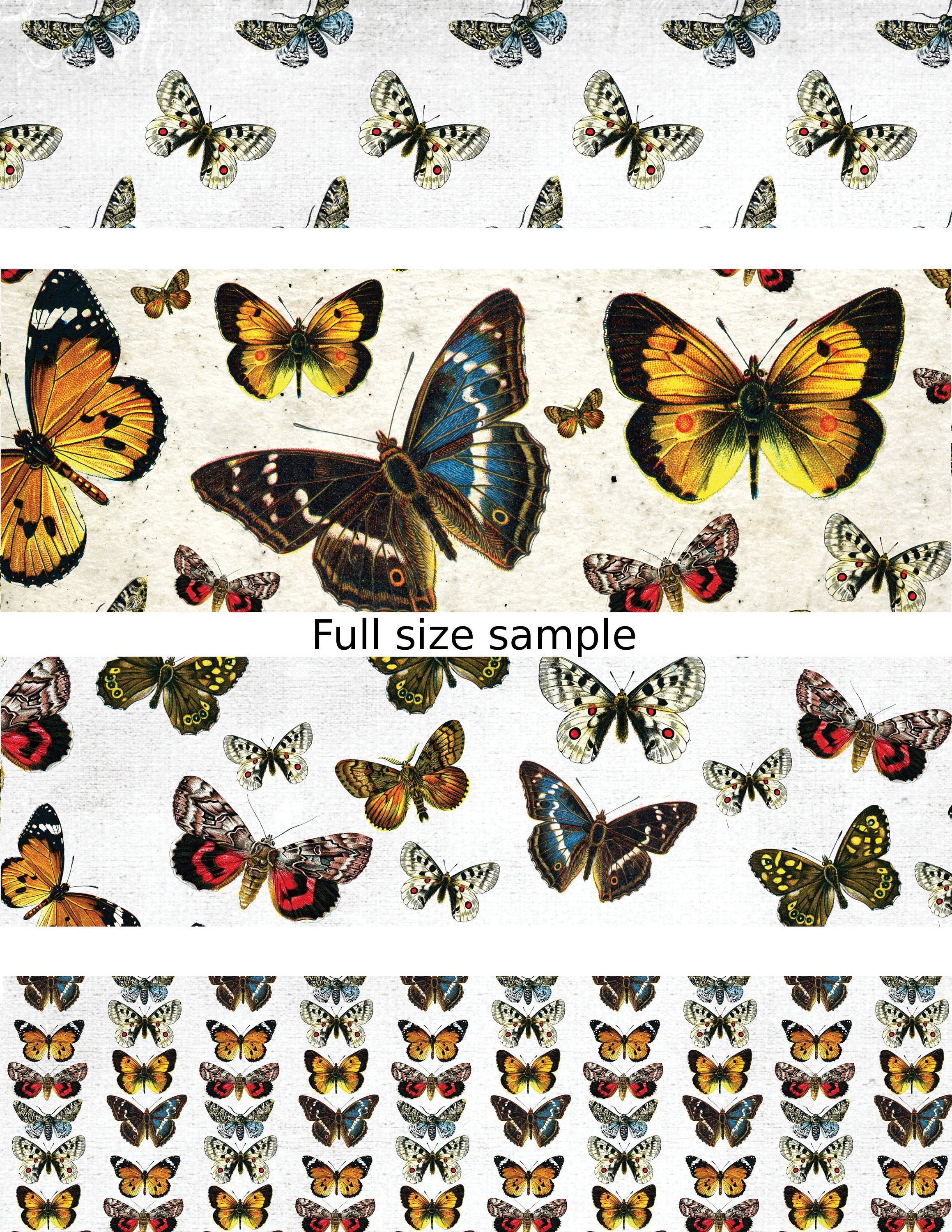 8.5x11 Butterflies Digital Paper Pack Floral Spring Summer Polka Dots ...