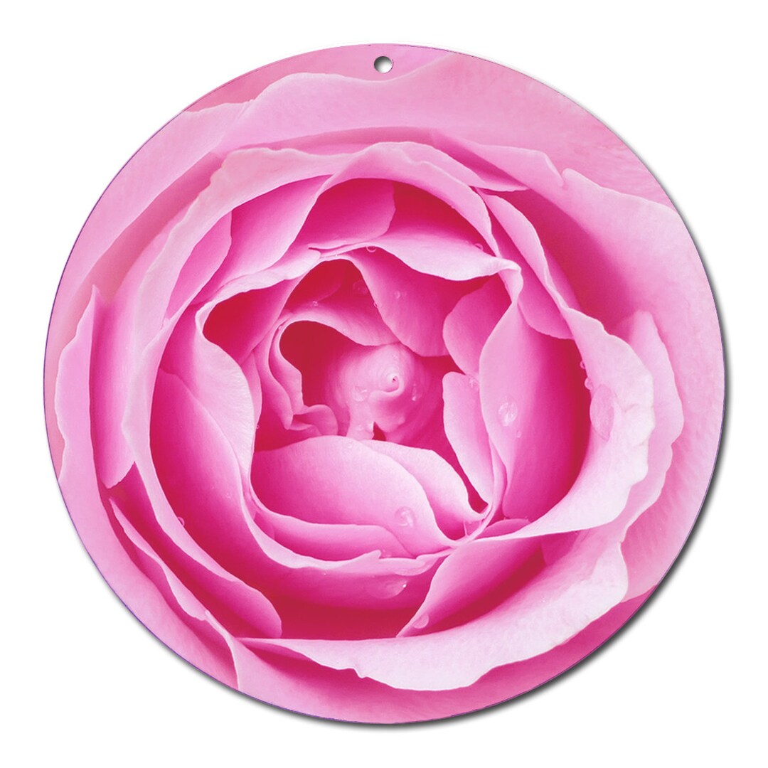 Sun Catcher Pink Rose No. 21. Ø 10cm Flower - Etsy