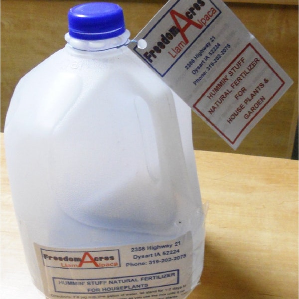 10 Gallon Jug - Etsy