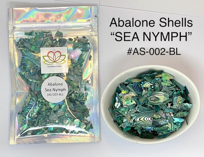 10g or 20g sea Nymph Abalone Shell Pieces Ultra-thin - Etsy