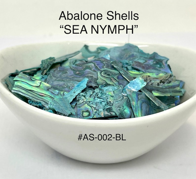10g or 20g sea Nymph Abalone Shell Pieces Ultra-thin - Etsy