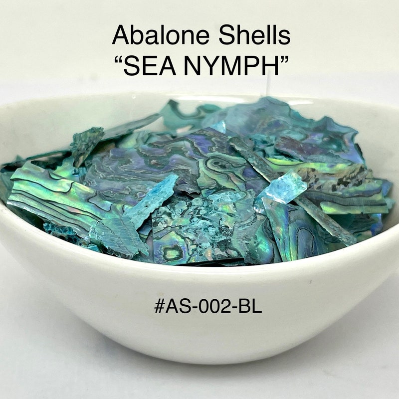 Blue Abalone Shell - Etsy