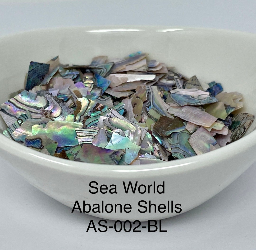 10g or 20g “sea World" Abalone Shell Pieces, Ultra-thin Slices From ...