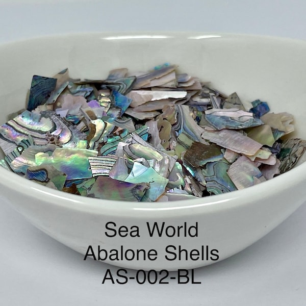 Abalone Shells for Resin Art - Etsy
