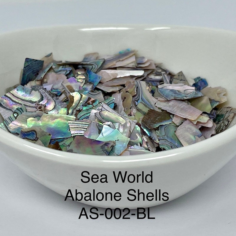 Sea Shell Resin Art - Etsy