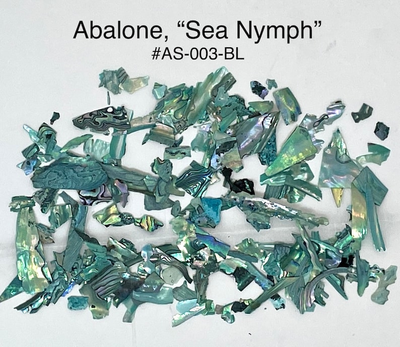 10g or 20g sea Nymph Abalone Shell Pieces Ultra-thin - Etsy