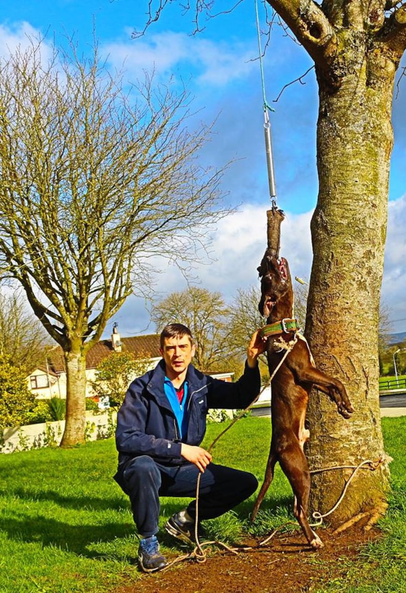 Firepaw Mobile Dog Training Spring Pole | Etsy