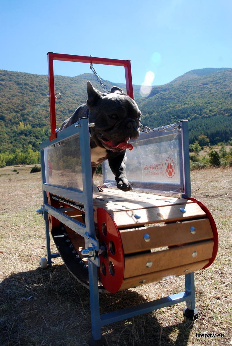 Firepaw Mini Dog Treadmill - Etsy