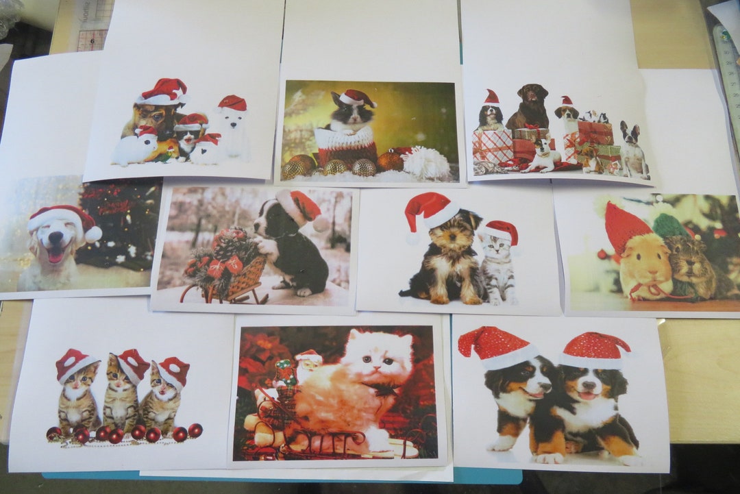 10 Cute Christmas Animal Pets Cards/ Notelets With Envelopes - Etsy