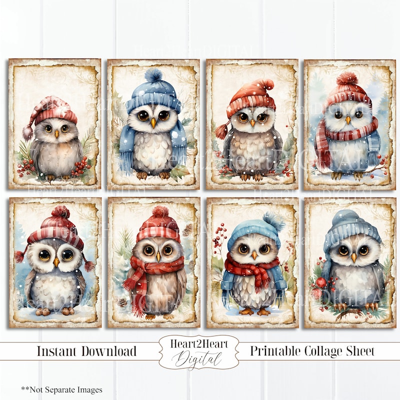 Owl Christmas Card - Etsy