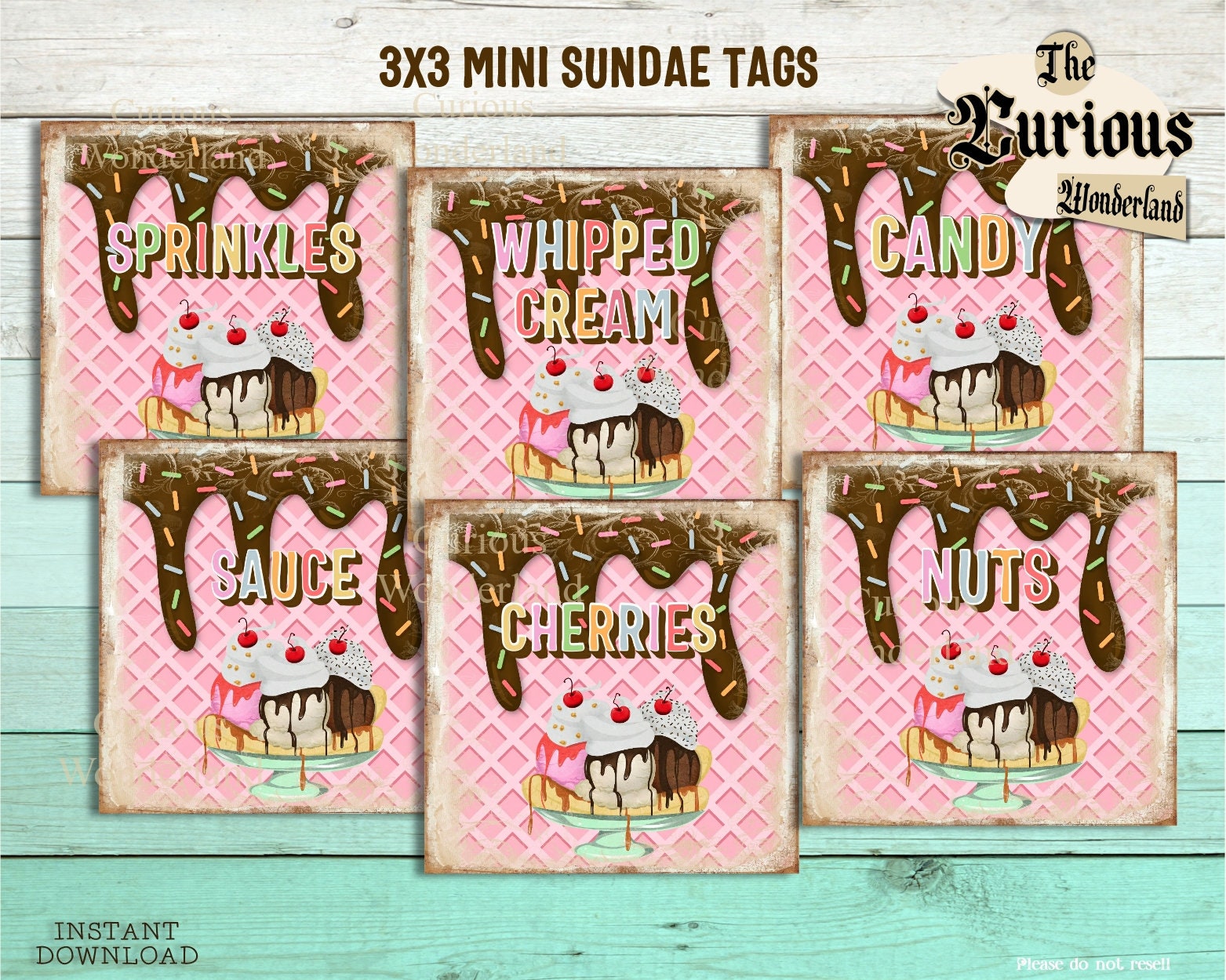 Ice Cream Sundae Mini Topping Tags Ice Cream Party Sundae - Etsy UK