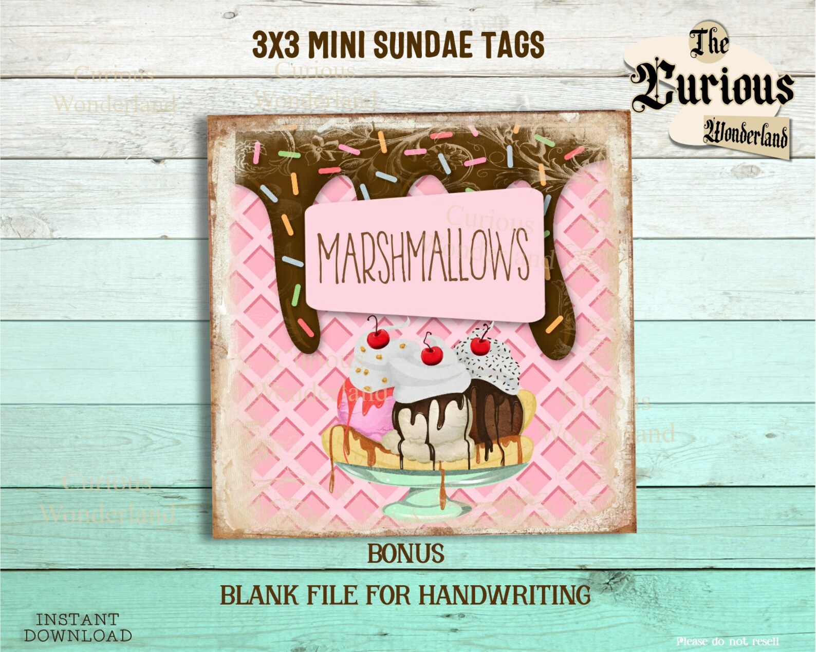 Ice Cream Sundae Mini Topping Tags Ice Cream Party Sundae - Etsy UK