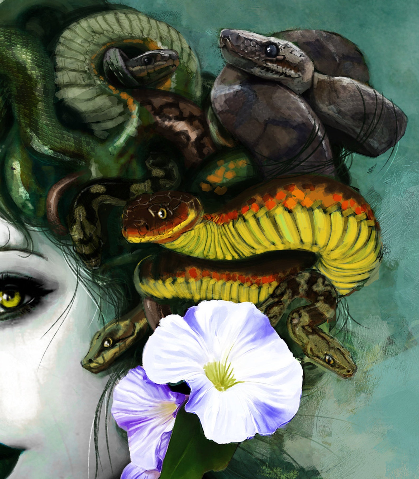 Medusa 8x10 Print | Etsy